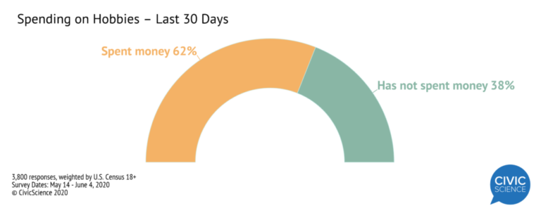 Spending on Hobbies Reached 62% During Lockdowns - CivicScience