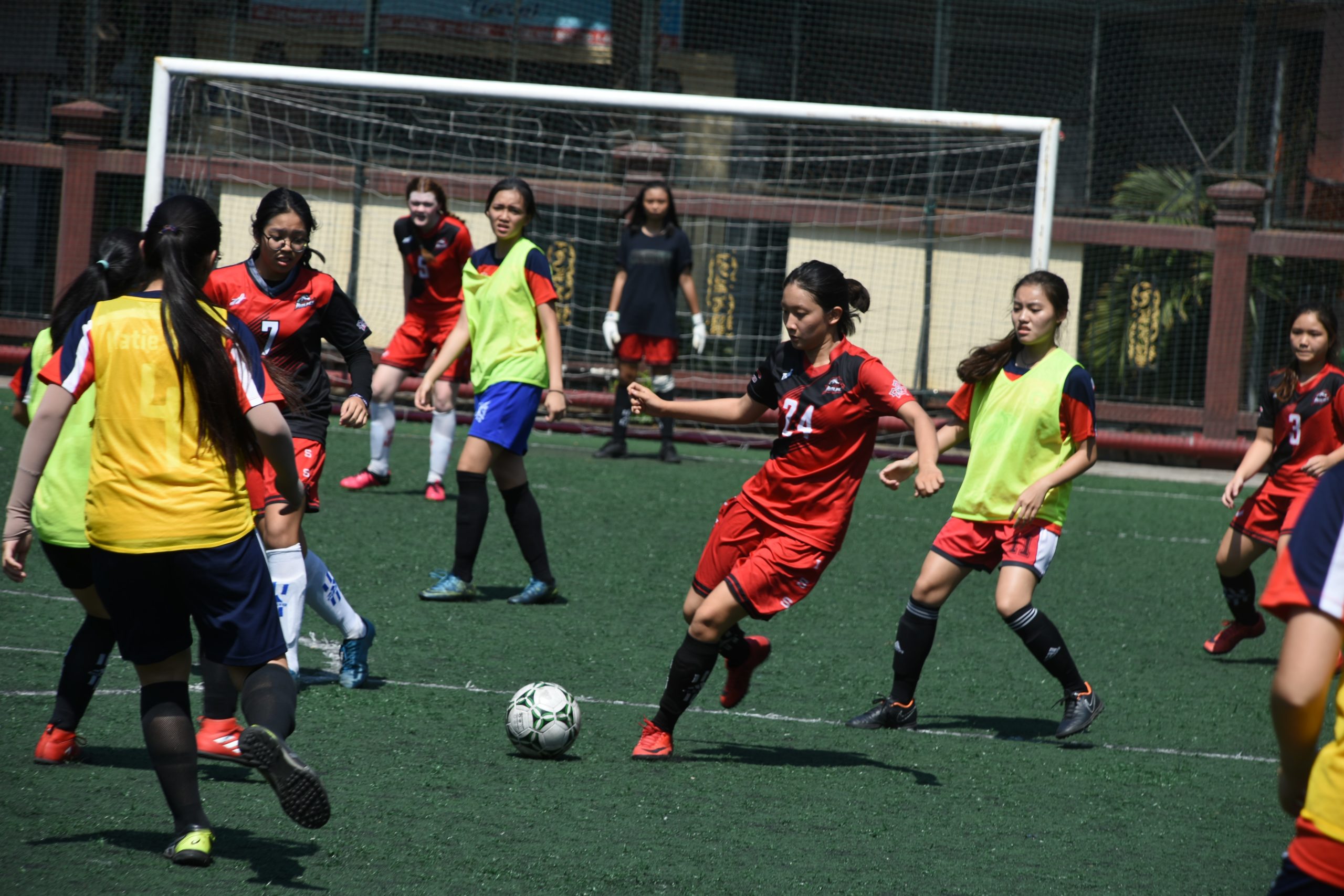 50 Years After Title IX, Women's Sports More Popular Than Ever Among ...