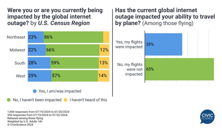 Global Internet Outage: Americans Concerned Over Internet Infrastructure