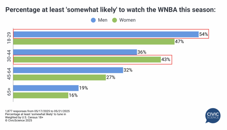 WNBA Audience Demographics: Insights for Marketers